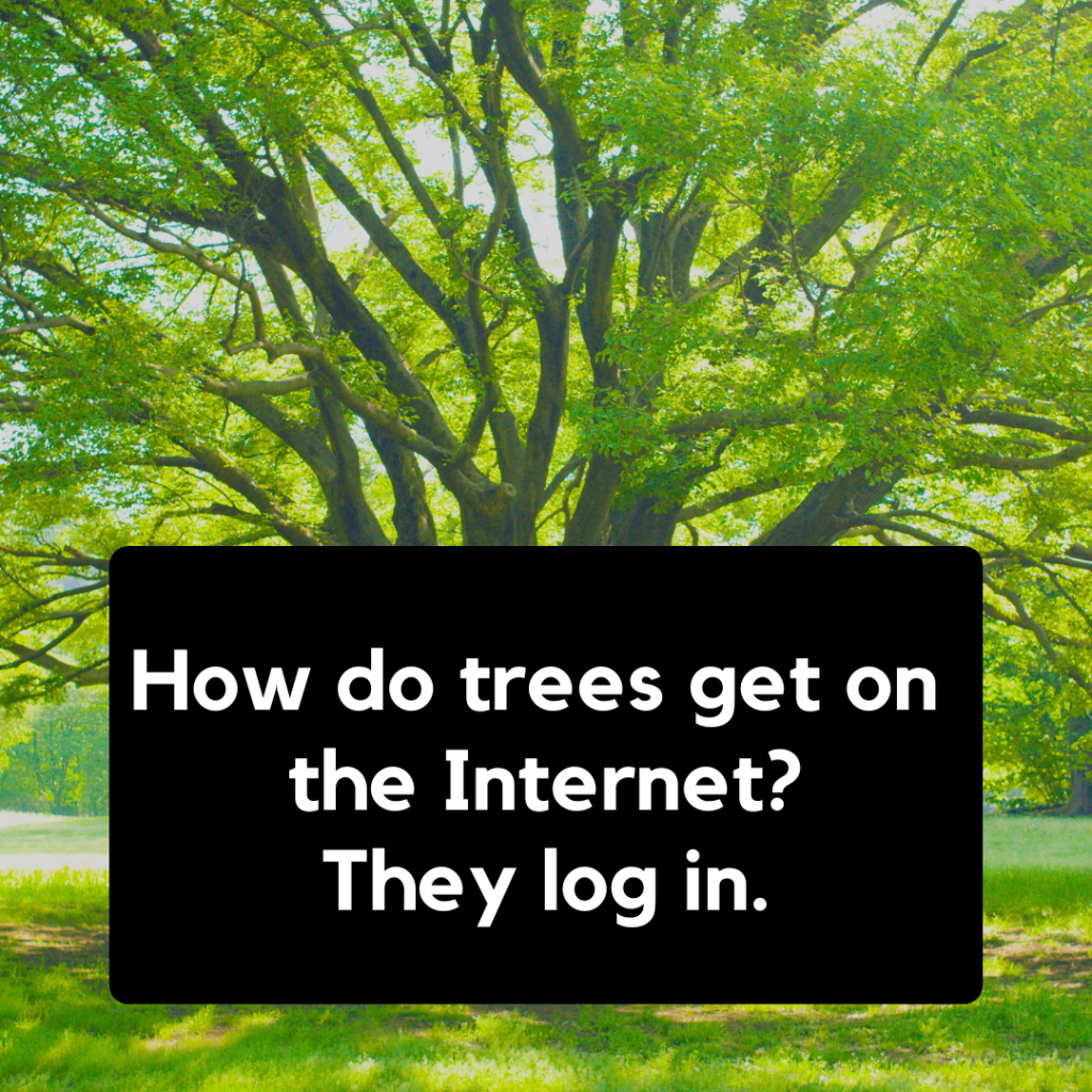 Password Jokes We All Relate To in the Digital Age - Prime Magazine