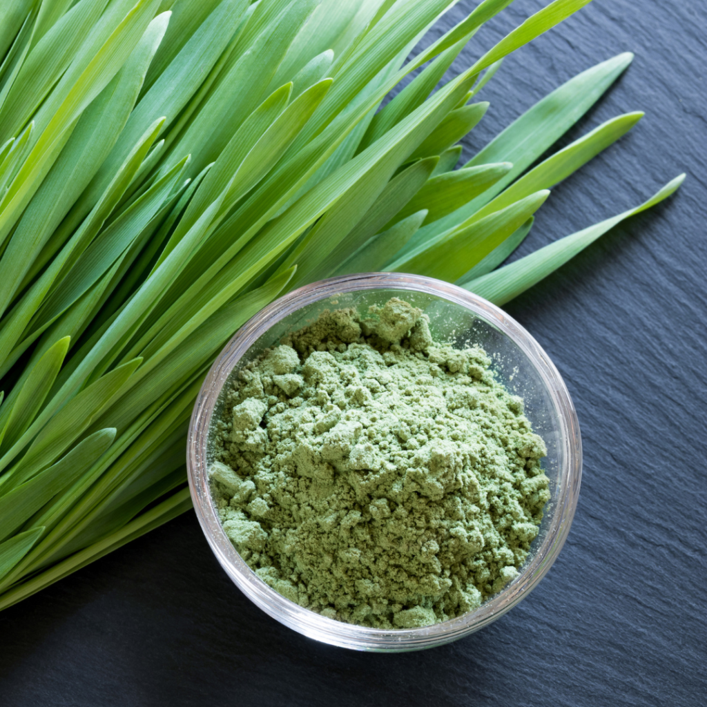 Home Remedies for Toothache Relief: What Helps Safely - Prime Magazine