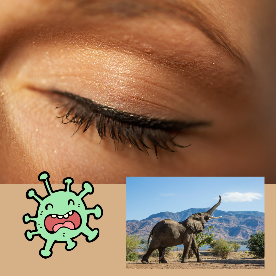 Eye Idioms Around the World: Cultural Meanings - Prime Magazine