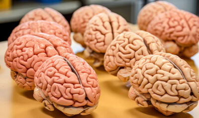 Brain Health 101: How to Keep Your Mind Sharp as You Age - Prime Magazine