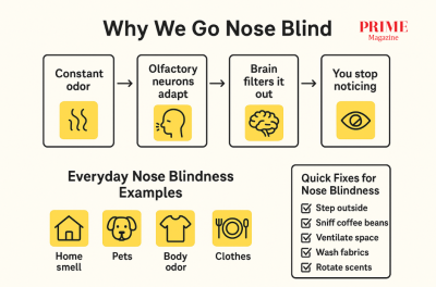 Nose Blind: Why You Stop Smelling Everyday Odors - Prime Magazine
