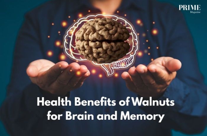 Health Benefits of Walnuts: The Brain-Boosting Superfood - Prime Magazine